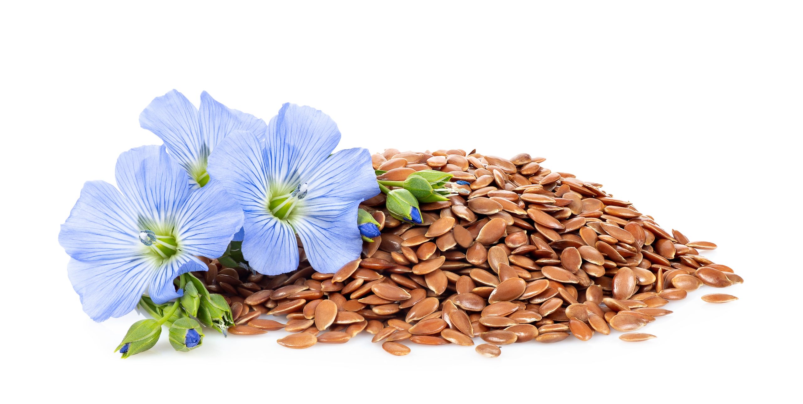 Fiberkunskap - Lin • Yvonne Östman